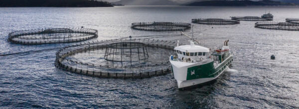 Salmon Science – Welcome to the Salmon Science Hub